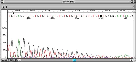 Troubleshooting DNA Sequencing: Evaluating Sanger DNA Sequencing ...